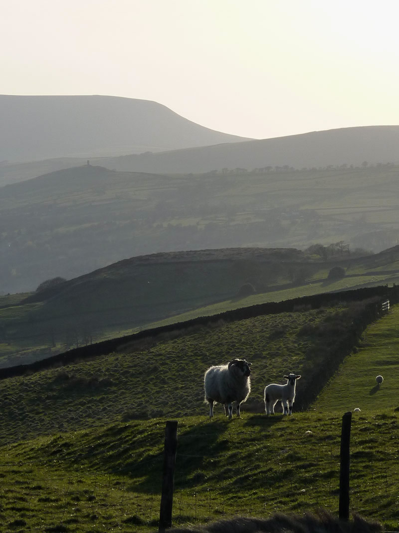 Pendle 10th Feb 2011