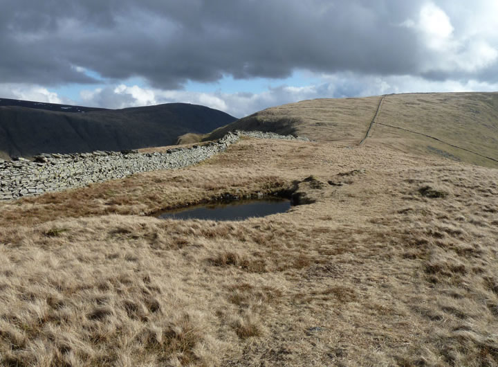 Far Eastern Completion