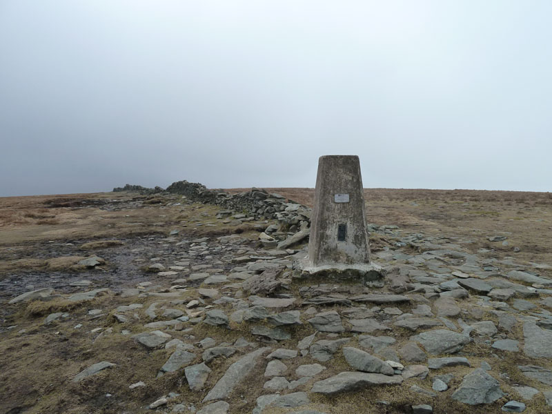 Far Eastern Completion