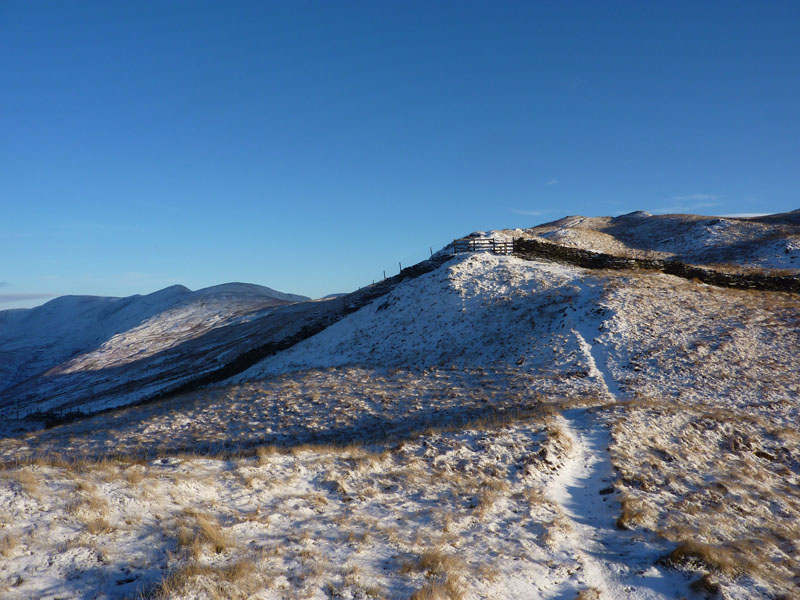 Sour Howes & Sallows