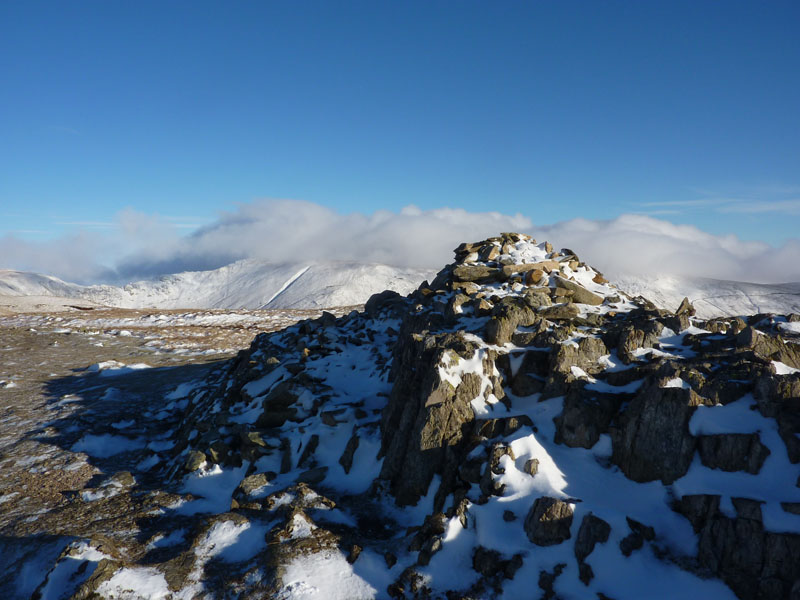 Sour Howes & Sallows